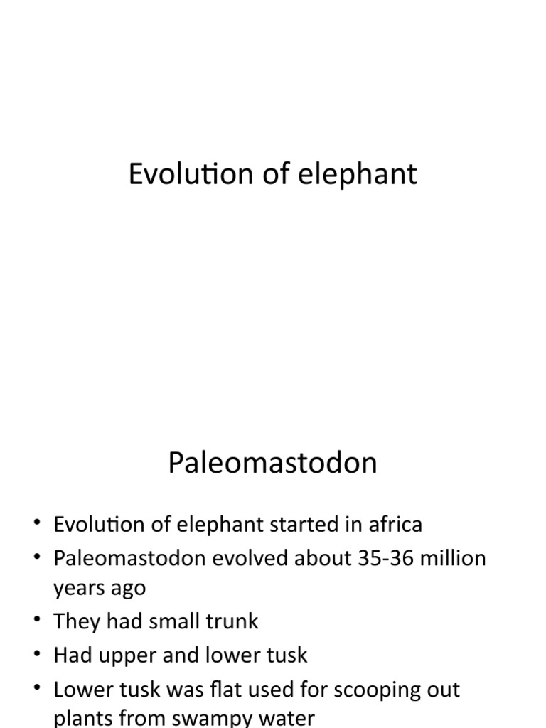 Evolution of Elephants | PDF