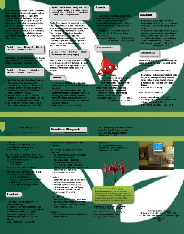 3.1.1.1 Leaflet Hematologi | PDF