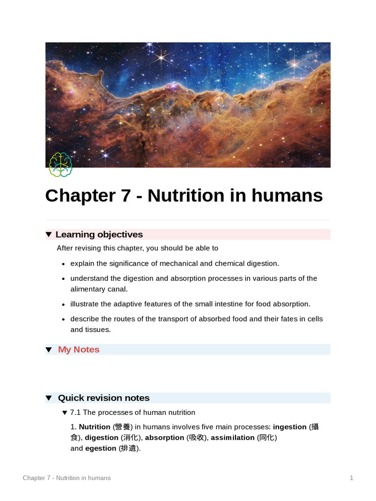 Chapter 7 - Nutrition in Humans: Learning Objectives | PDF | Digestion ...