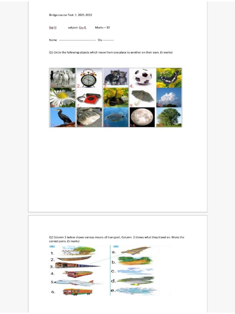 Evs 2 Bridge Course | PDF