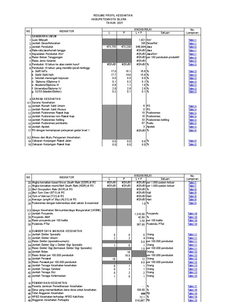 Draft Lampiran Juknis Profil Kes 2021rekap. | PDF