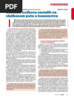 Putni Nalog U 2024 | PDF