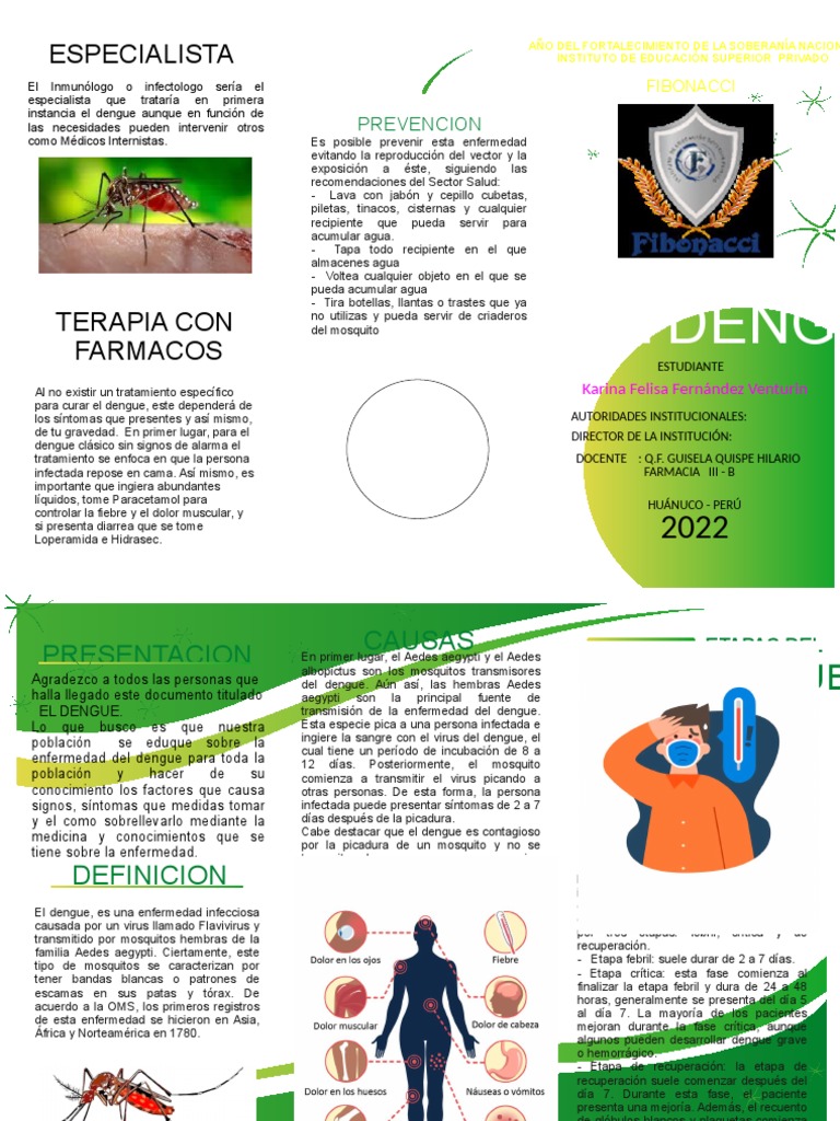 Triptico Dengue | PDF | Enfermedades animales | Especialidades Medicas