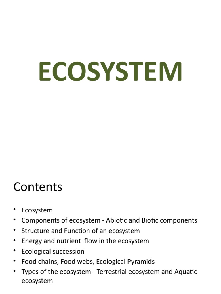 Ecosystem | PDF | Ecosystem | Food Web