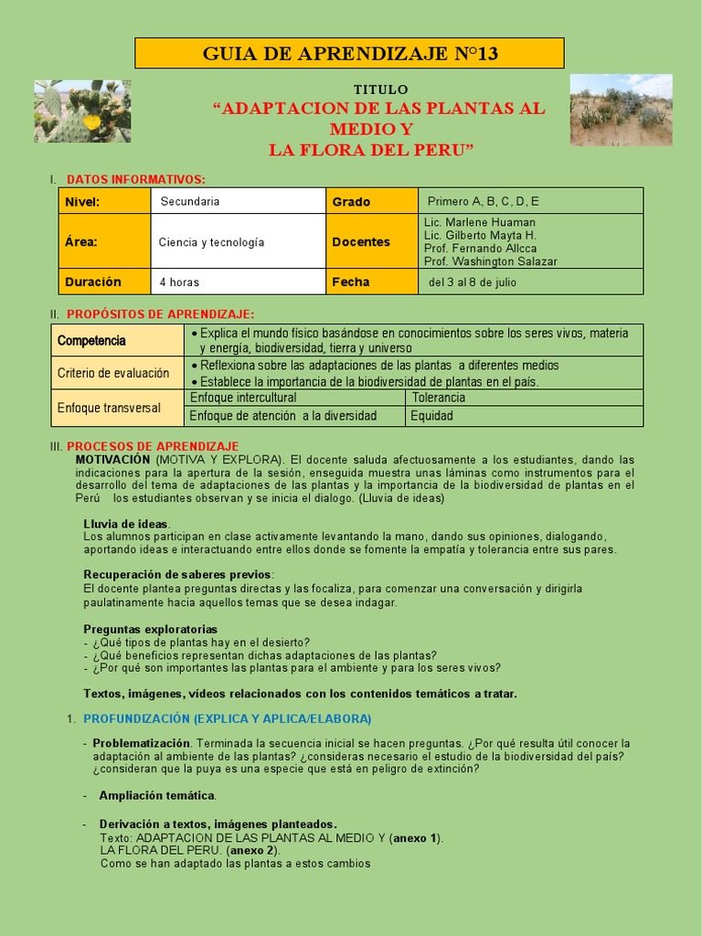 GUIA 13. - Adaptacion de Las Plantas | PDF | Aprendizaje | Evaluación