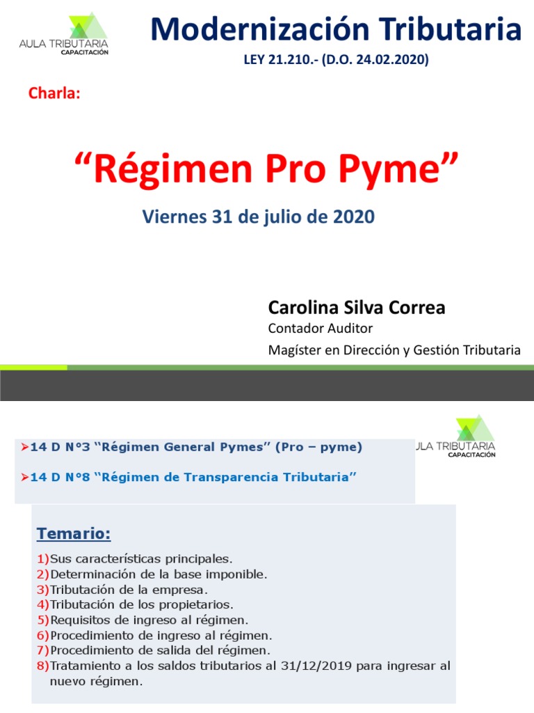 Regimen Pro Pyme | PDF | Impuestos | Pequeñas y medianas empresas