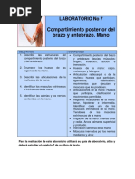 A34 Compartimentos Musculares Del Brazo y Antebrazo DR Daniel Lopez ...