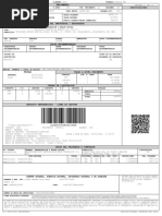 Formato Pedimento Exportacion | PDF | aduana | Economias