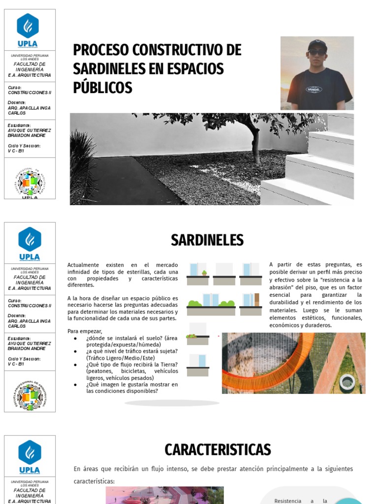 Proceso Constructivo de Sardineles en Espacios Públicos | PDF ...