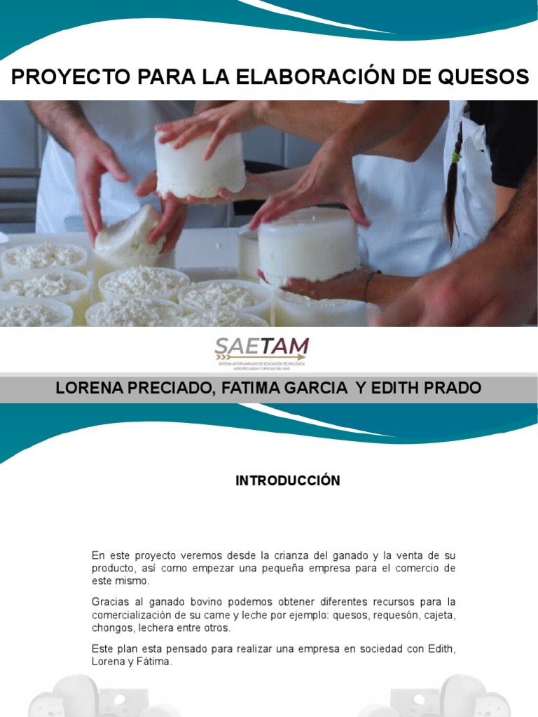 Proyecto Del Queso | PDF | Queso | Leche