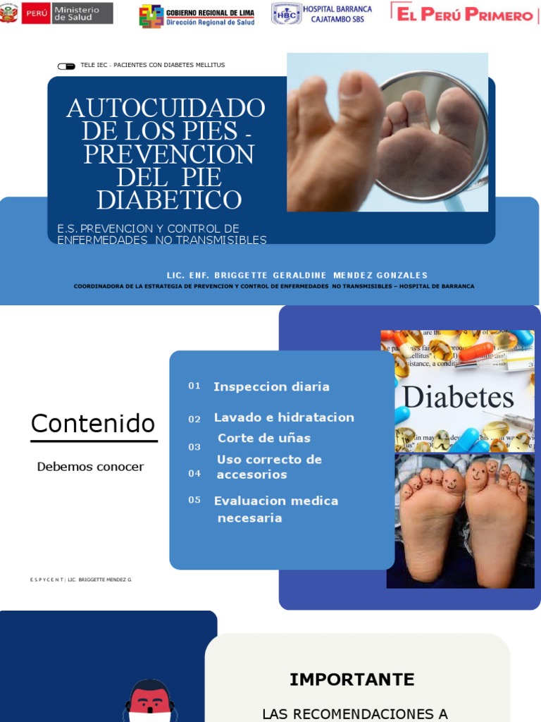 Tele-Iec Pie Diabetico | PDF | Diabetes | Ciencias de la Salud