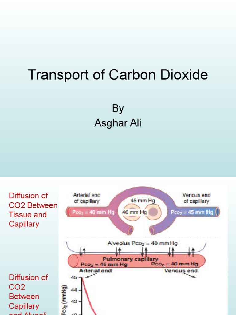 Transport of Carbon Dioxide: by Asghar Ali | PDF | Technology & Engineering
