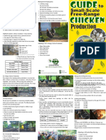 Native Chicken Production in The Philippines | PDF | Chicken | Poultry
