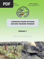 Cameroon Labour Code | PDF