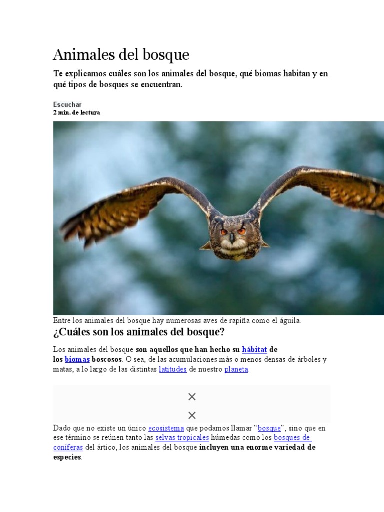 Animales Del Bosque | PDF | Los bosques | Clima