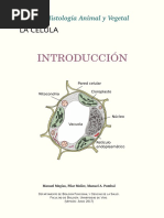 Atlas Anatomia Vegetal | PDF | Tallo de la planta | Biología Celular)