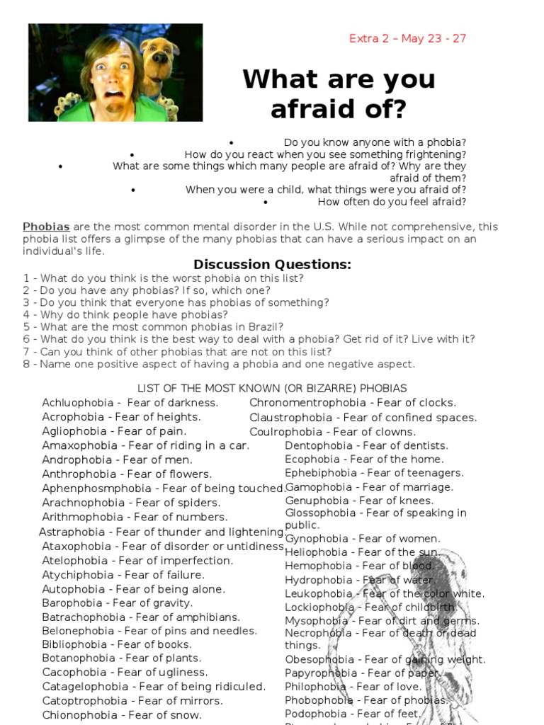 What Are You Afraid Of?: Discussion Questions | PDF | Phobia | Fear