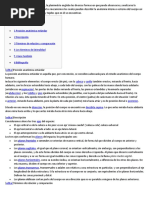 Términos de Lateralidad en Anatomía | PDF | Términos anatómicos de ...