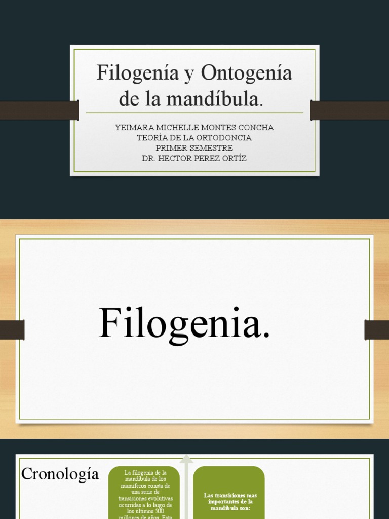 Filogenia y Ontogenia. | PDF | Hueso | Evolución