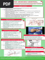Manejo de Líquidos Intraoperatorio | PDF | Efecto Doppler | Aluminio