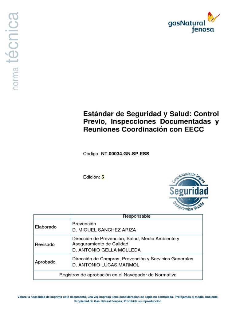 Estandar de Seguridad y Salud - Control Previo | PDF | Contaminación | Oxígeno