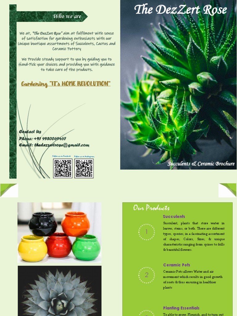 The DezZert Rose - Green Catalogue2 | PDF | Succulent Plant | Plants