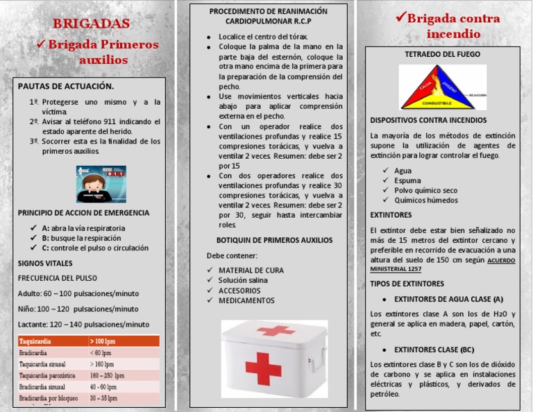 Triptico Plan de Emergencia 2 | PDF | Reanimación cardiopulmonar | Primeros auxilios