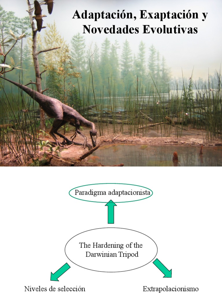Adaptación y Exaptación Parte 1 y 2 | PDF | Adaptación | Ala