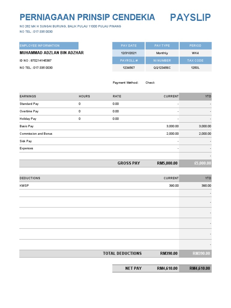 Payslip Template | PDF | Paycheck | Worksheet