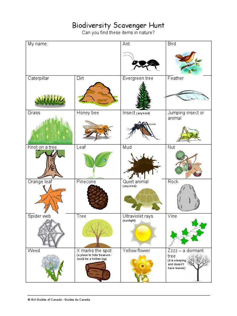 Biodiversity Scavenger Hunt: (Any Kind) | PDF