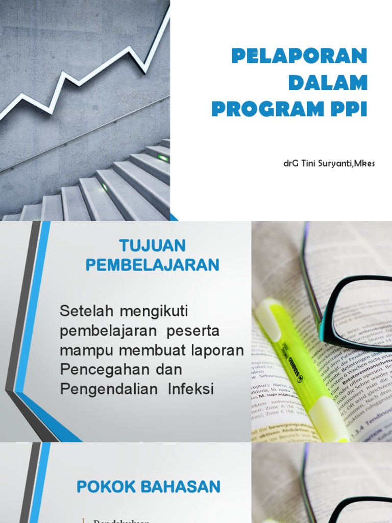 Pelaporan Program PPI | PDF