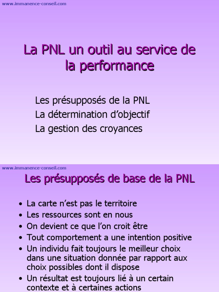 La PNL Un Outil Au Service de La Performance | PDF