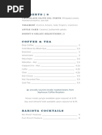 ISSAI 300: Performance Audit Principles | PDF | Audit | Auditor's Report