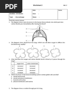 WS - Biology Grade 8 | PDF | Respiratory System | Breathing