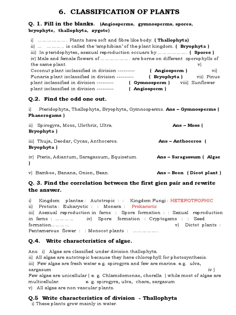 Scince Notes Part II Edited 21 Oct | PDF | Ecosystem | Food Web