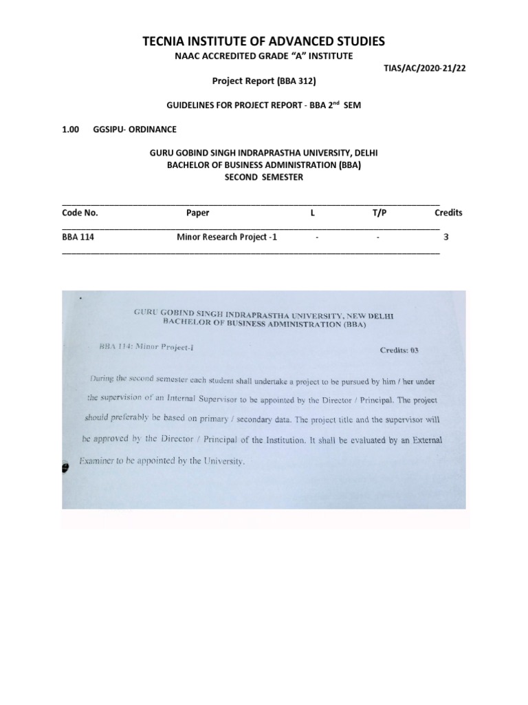 PR GUIDELINE 2020-21 - Minor Project 1 | PDF