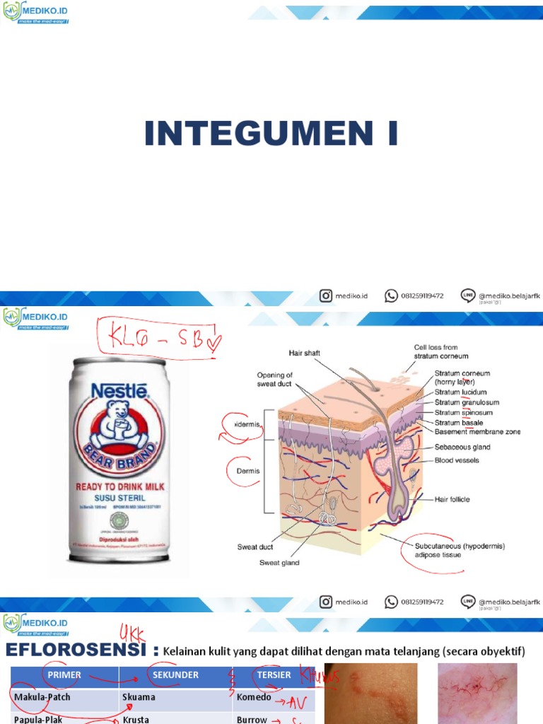 Coret Kompre INTEGUMEN | PDF