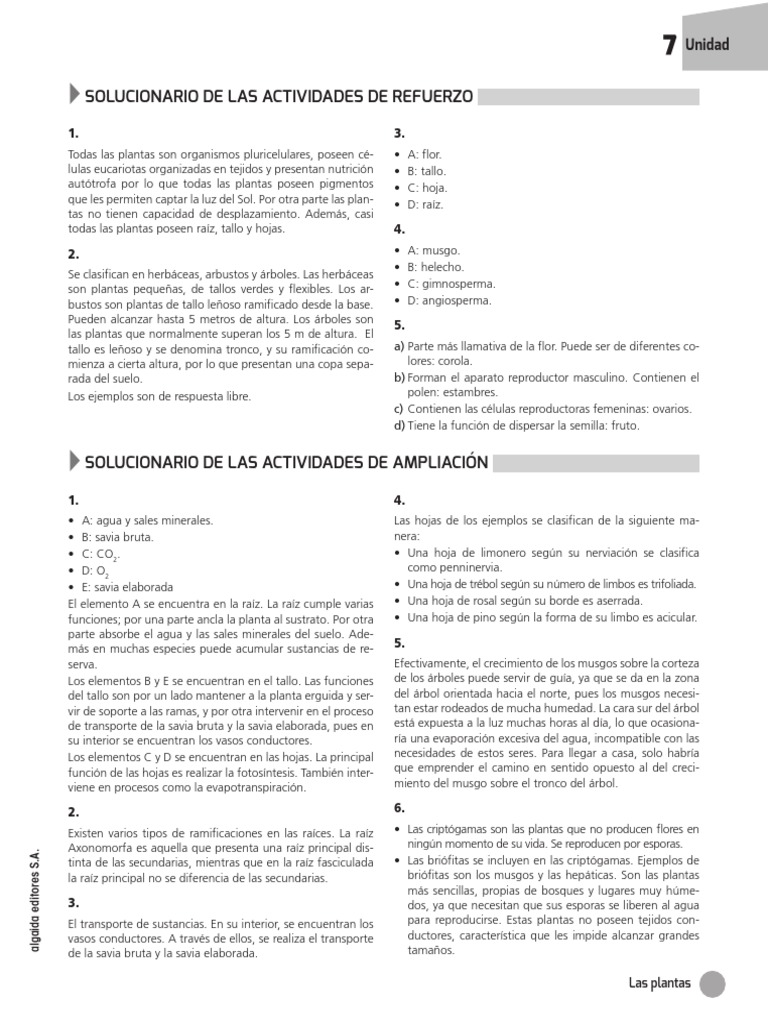 Solucionario Recursos Complementarios U7 Byg1eso | PDF | Plantas | Tallo de la planta