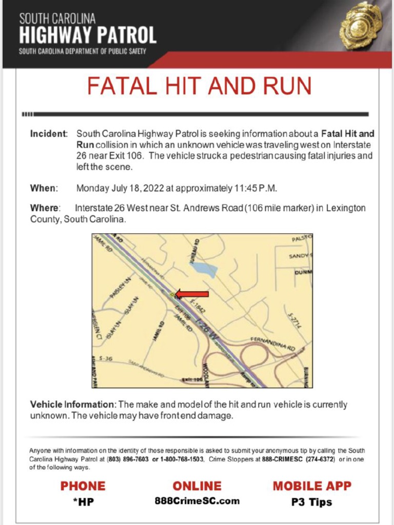 Hit-and-Run Flyer | PDF