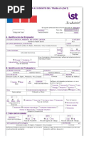DIAT ISL Denuncia Individual de Accidente Del Trabajo | PDF