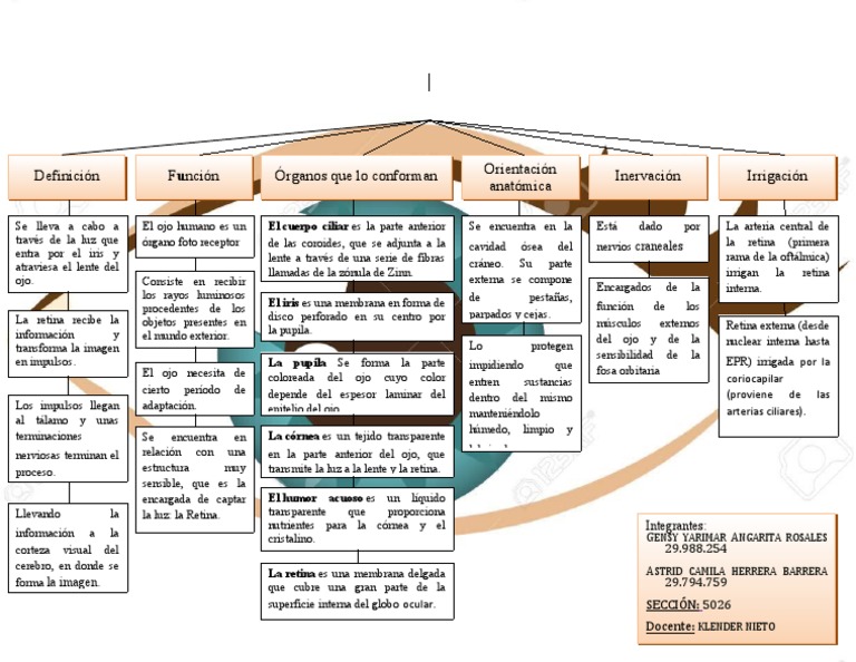 Esquema de Sentido | PDF | Ojo humano | Percepción visual