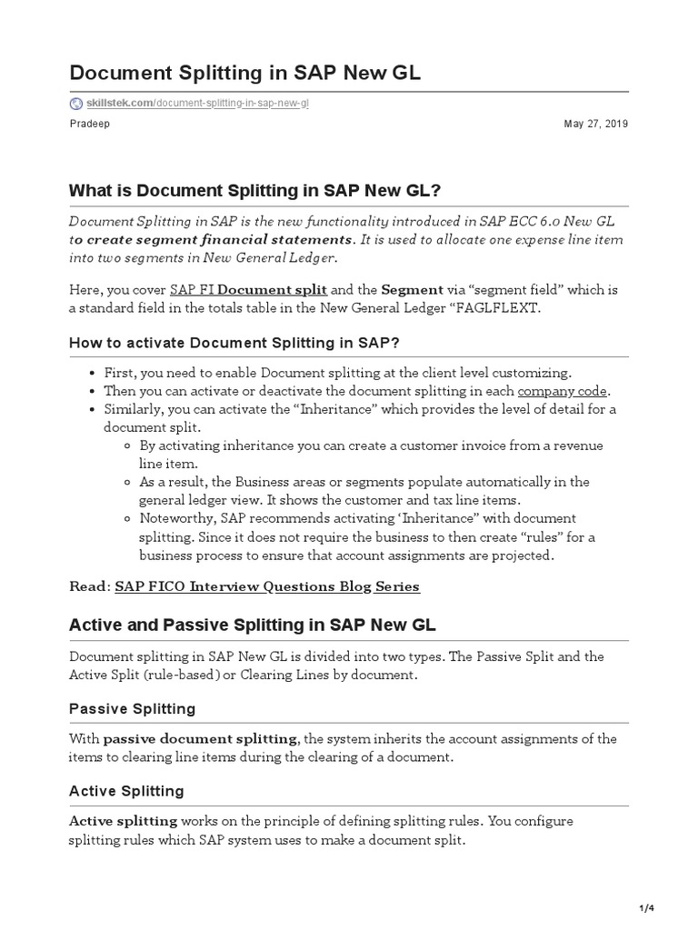 Document Splitting in SAP New GL | PDF | Business | Economies
