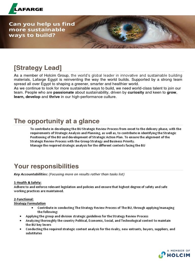 (Strategy Lead) : Learn, Develop and Thrive in Our High-Performance ...