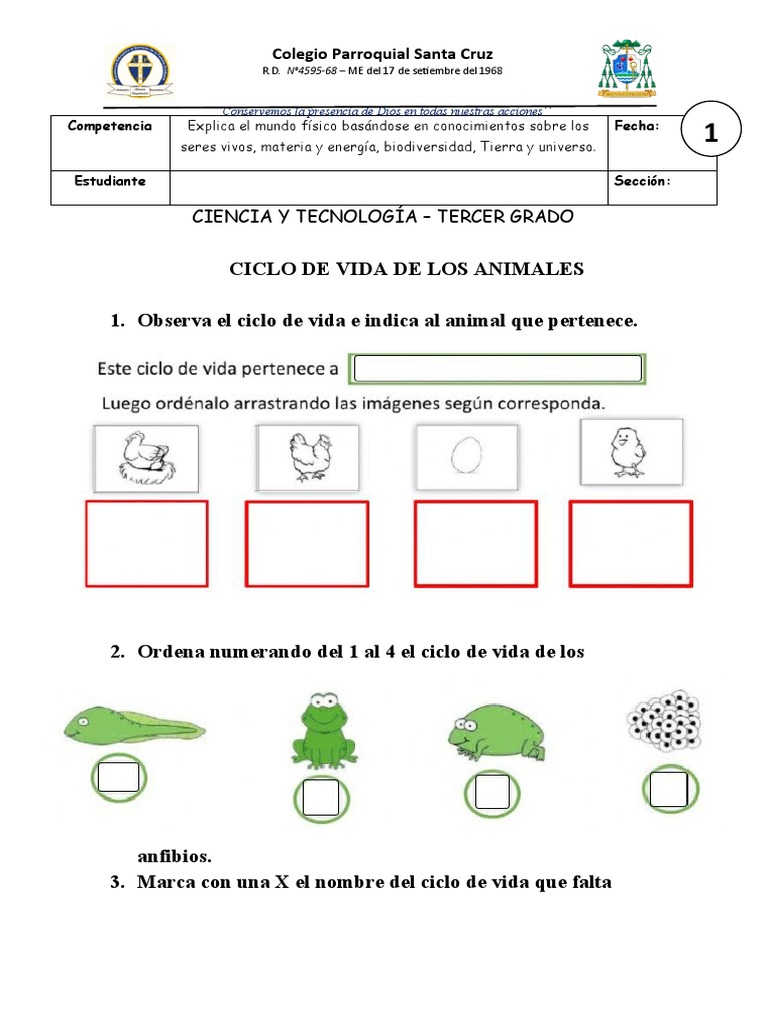 Ciclo de Vida de los Animales para Niños | PDF | Ciencia y matemáticas