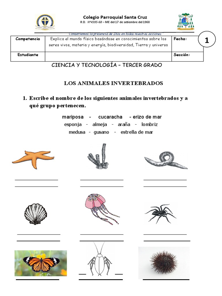 FICHA 6-Reconociendo A Los Animales Invertebrados | PDF | Invertebrado ...