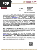 Formato Repse | PDF | Gobierno | Justicia