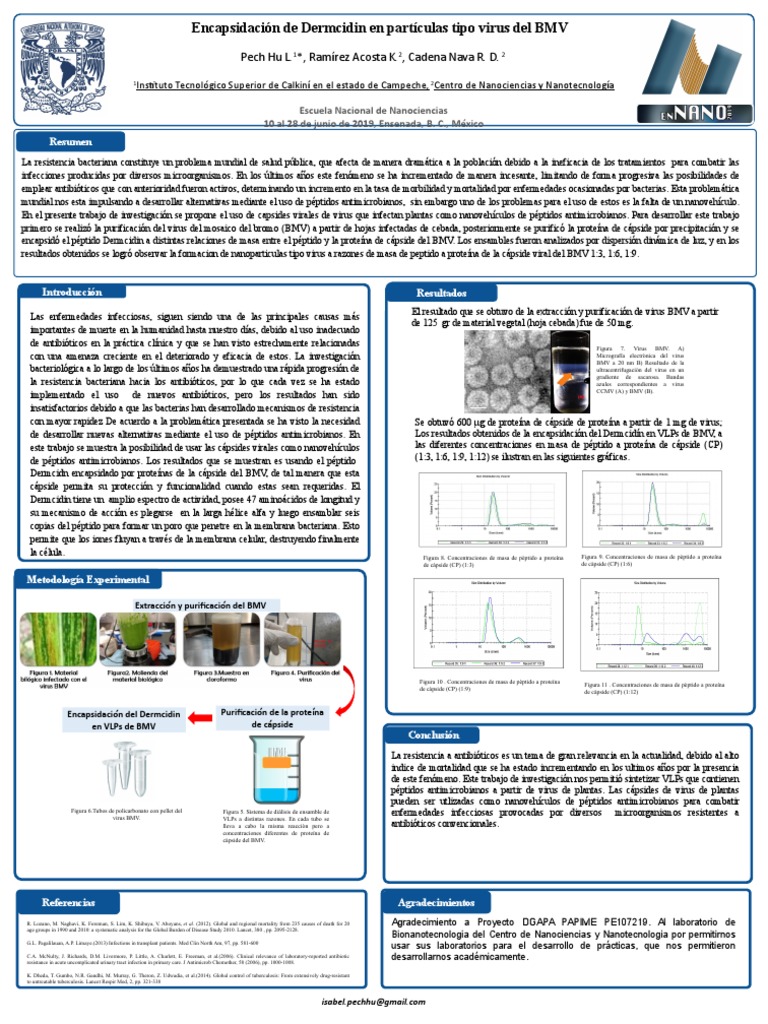 Pech Hu Laura I. - Poster EnNano 2019 | PDF | Virus | Las bacterias
