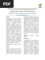 Tinción De Endosporas Schaeffer Y Fulton Pdf Las Bacterias