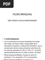 Regla Chipault Vertebra | PDF