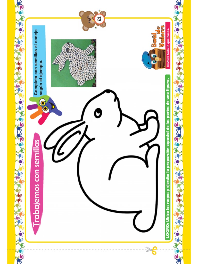 Conejo | PDF